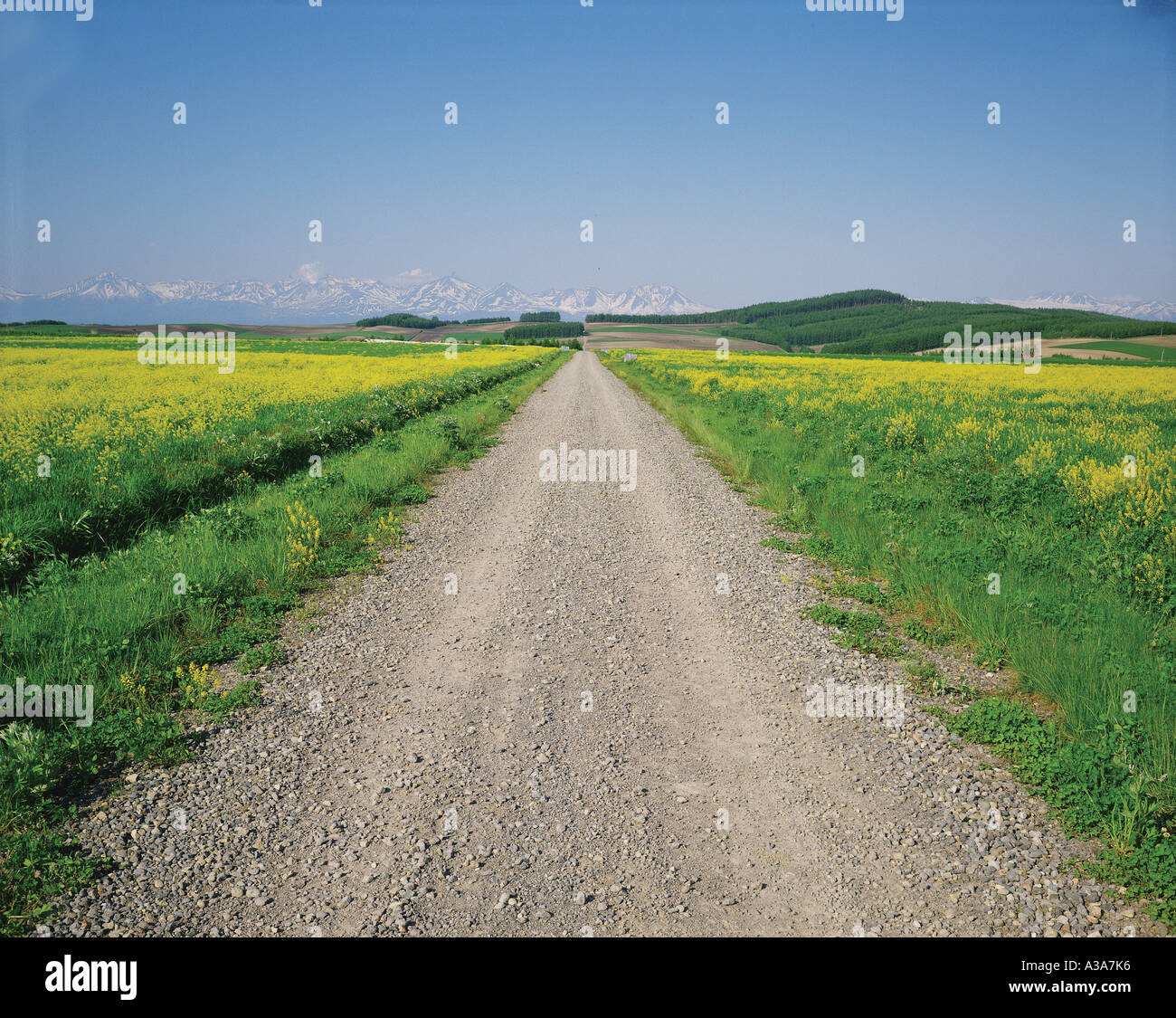 Cheju island Banque de photographies et d’images à haute résolution - Alamy