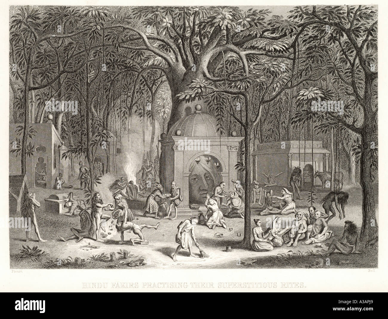 Fakirs hindous sadhu saints hommes dévot shiva Ram Brahman Banyan Tree ...