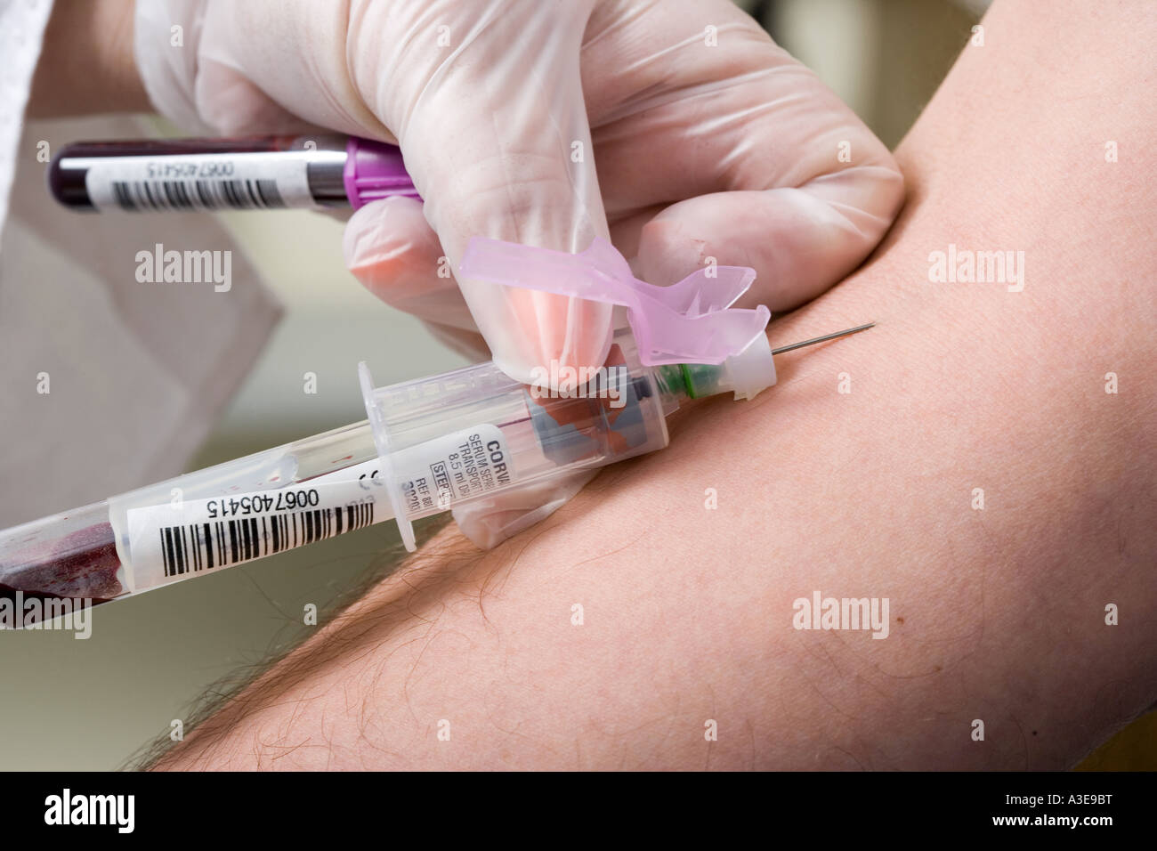 Vraie veine Banque de photographies et d’images à haute résolution - Alamy