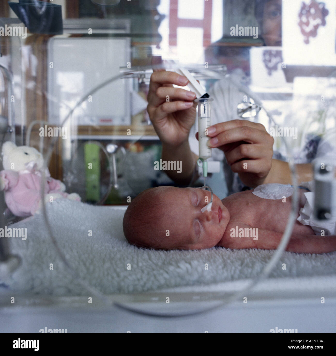 Baby incubator Banque de photographies et d’images à haute résolution ...