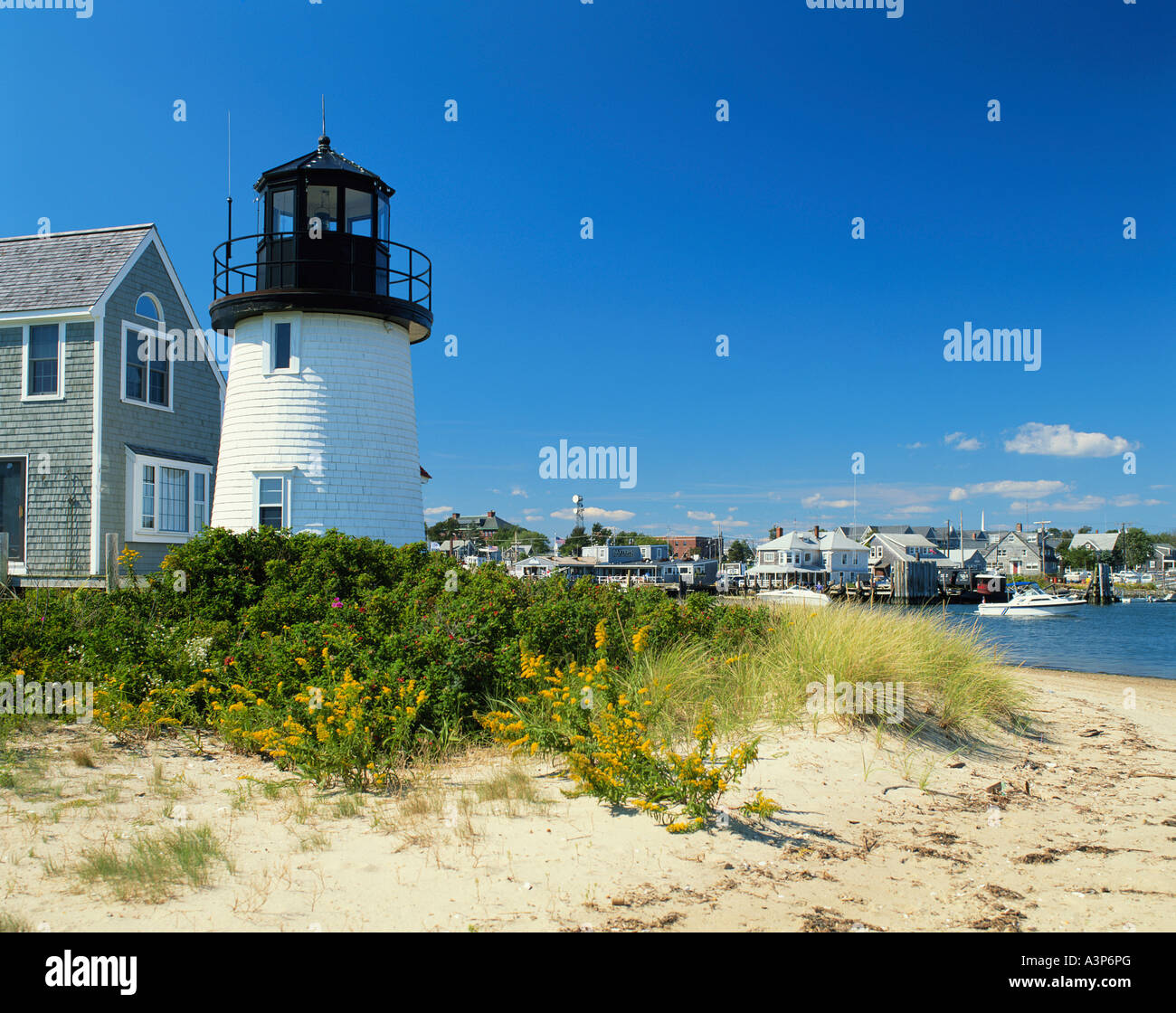 Shingle house cape cod Banque de photographies et d’images à haute ...