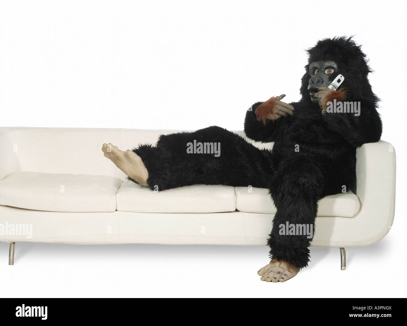 L'homme habillé dans un costume de gorille assis sur un canapé et d ...