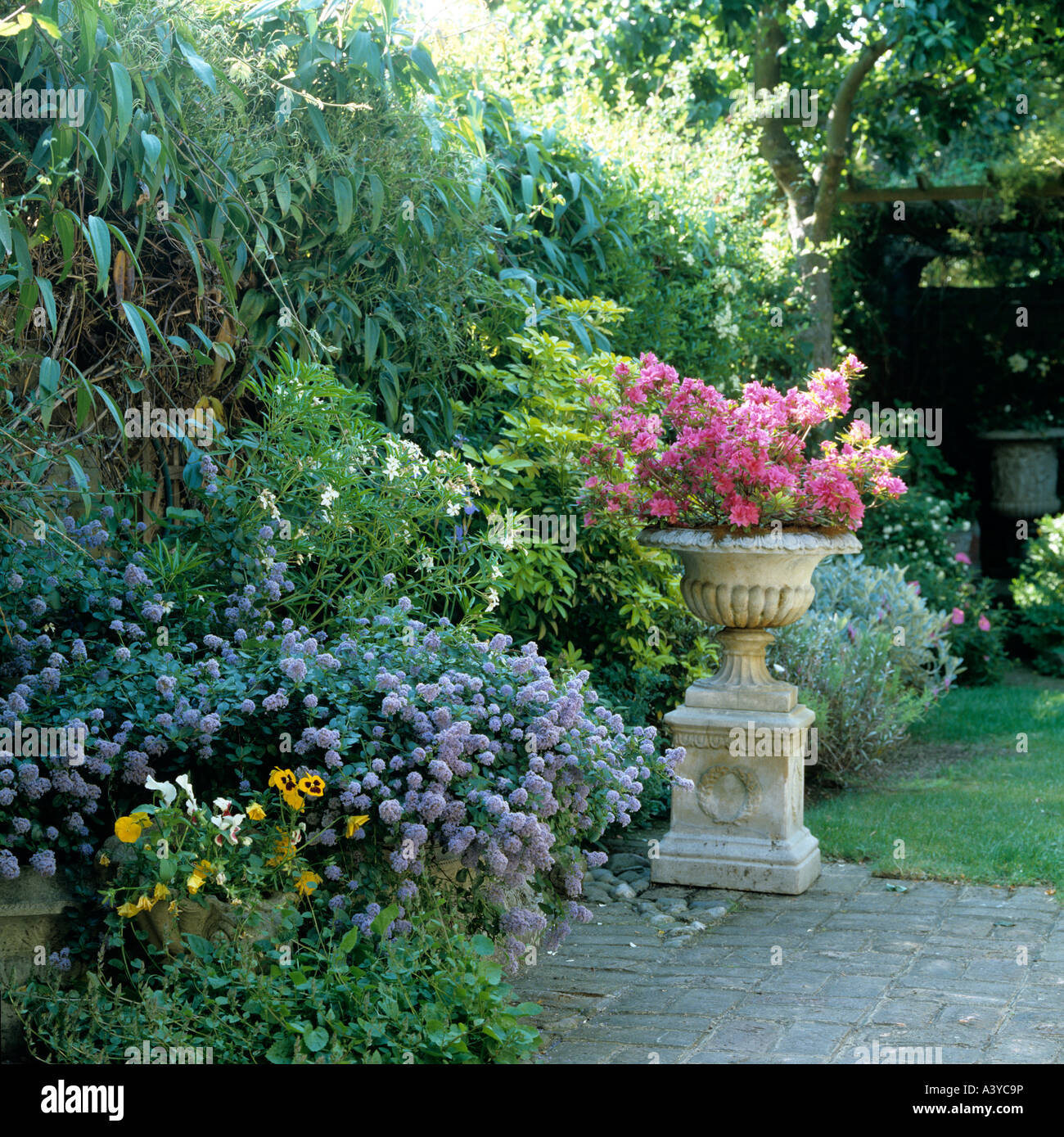 Jardin Anglais en fleur à la fleur de l'urne sur socle Photo Stock - Alamy