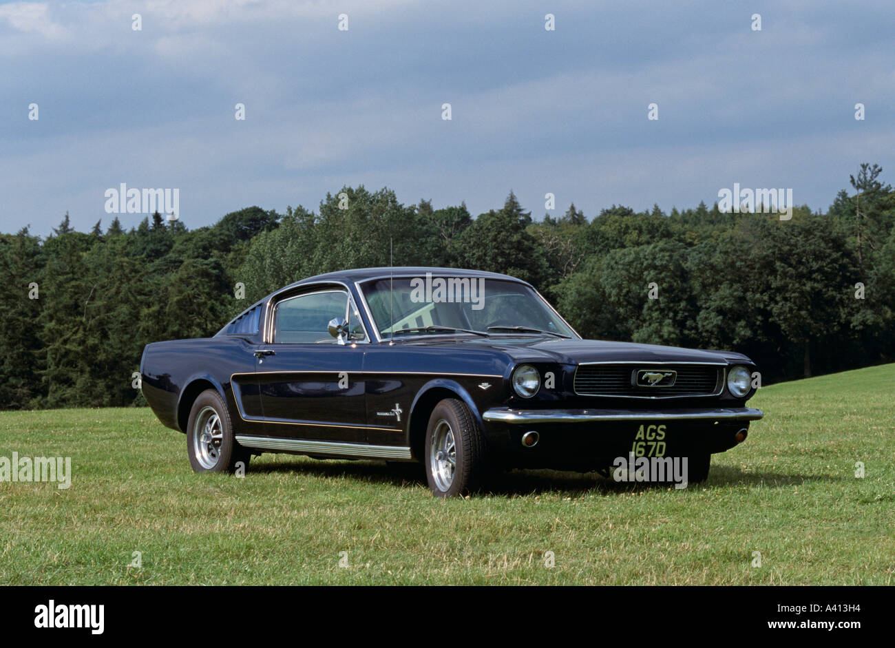 1966 ford mustang fastback Banque de photographies et d’images à haute ...