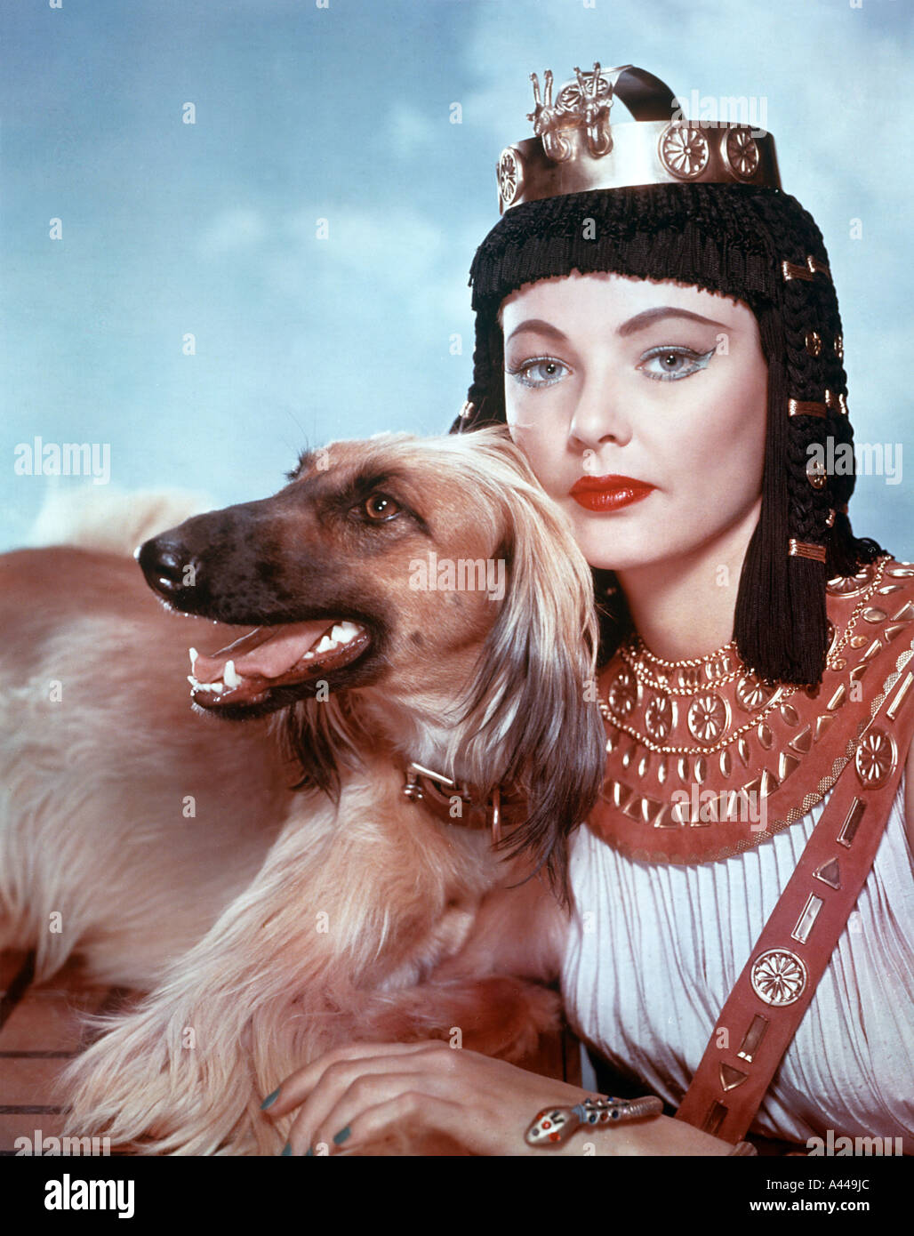 Gene tierney Banque d'image et photos - Alamy