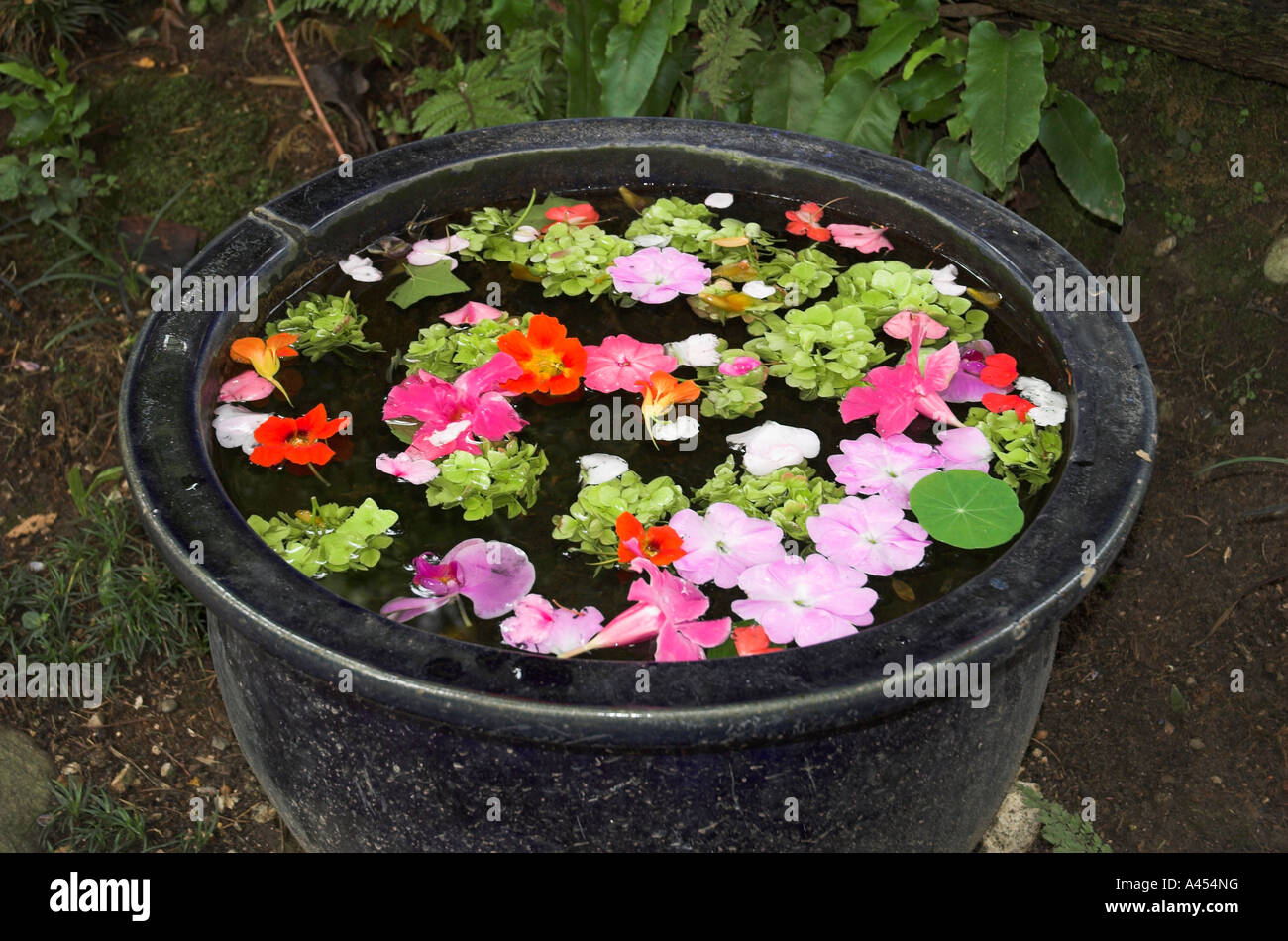 Un pot plein d'eau avec les têtes de fleurs flottant sur le dessus ...