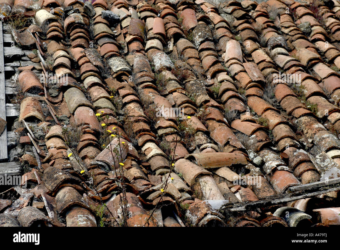 Vieilles tuiles italiennes en terre cuite Banque de photographies et d ...