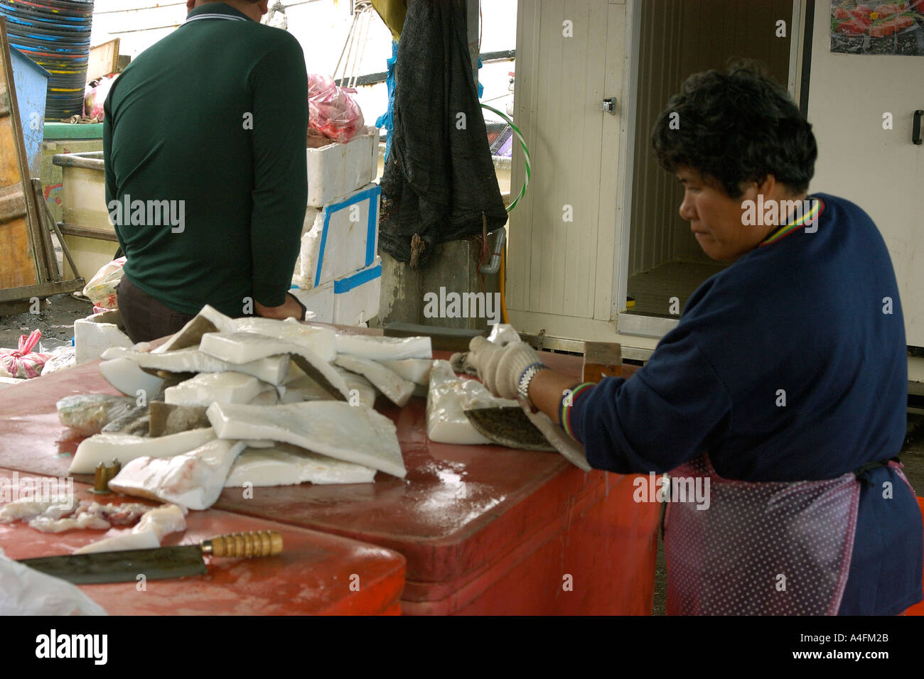 Traitement de la viande de requin baleine femme requin tofu Suao Taipei ...