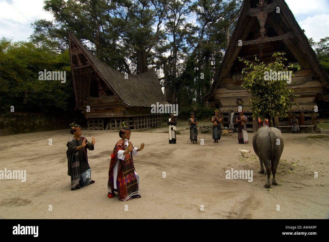 La danse traditionnelle et maison traditionnelle de Batak Toba Photo ...