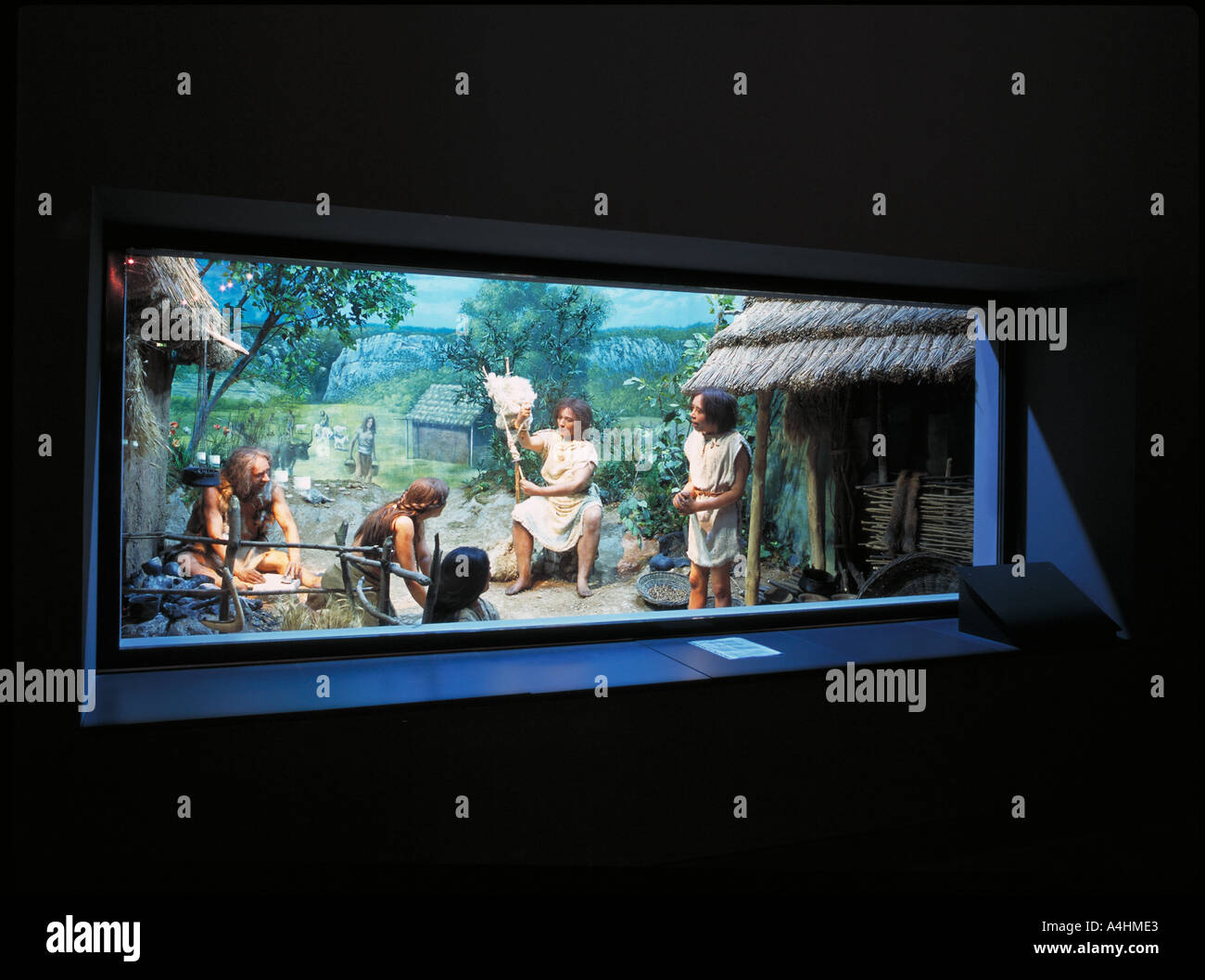 Musée PRÉHISTOIRE MUSÉE DE PRÉHISTOIRE Photo Stock - Alamy