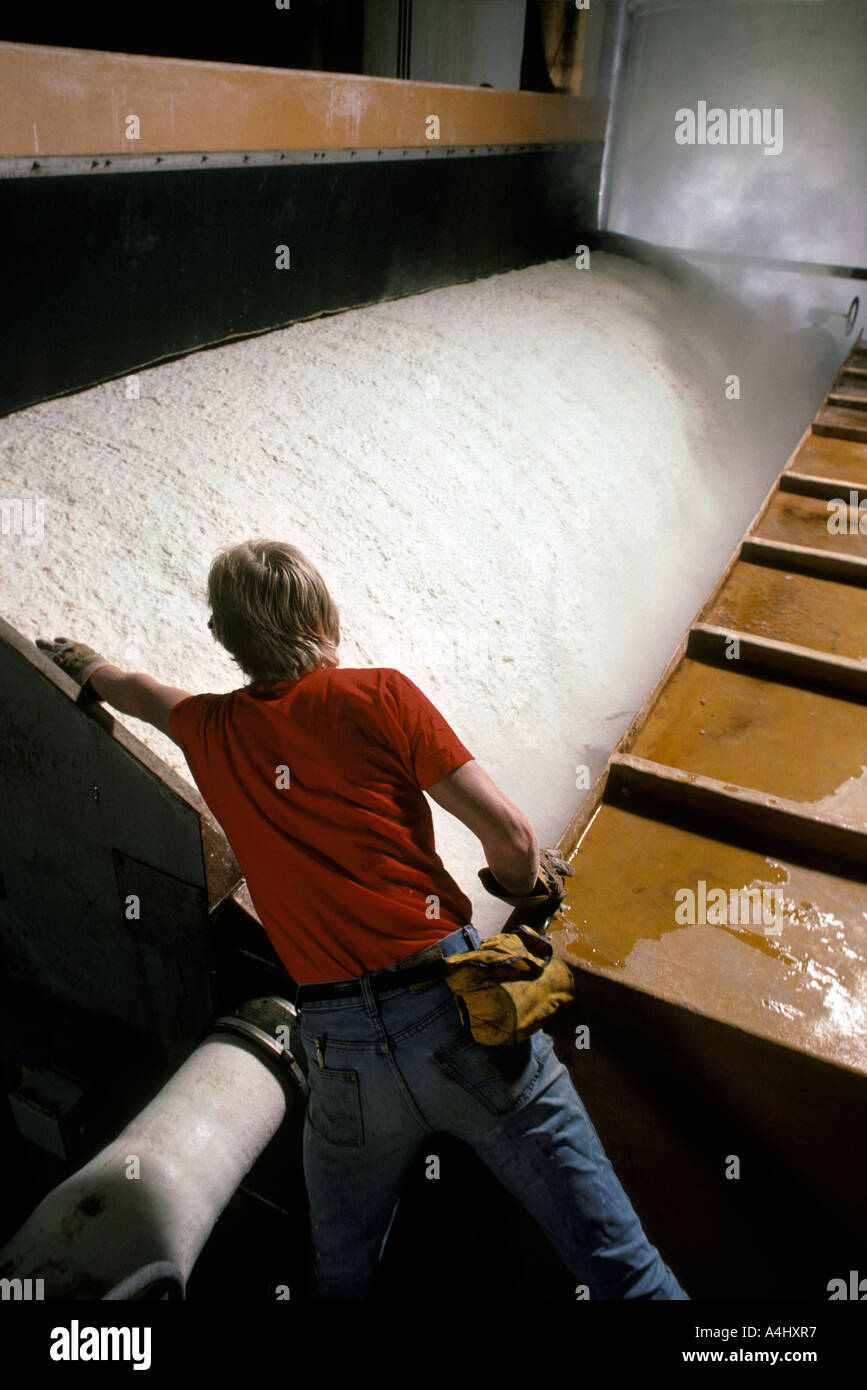 Paper pulp machine Banque de photographies et d’images à haute ...