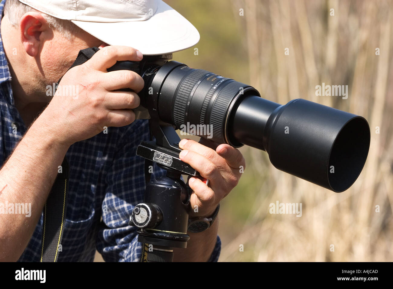 At photographer Banque de photographies et d’images à haute résolution - Alamy