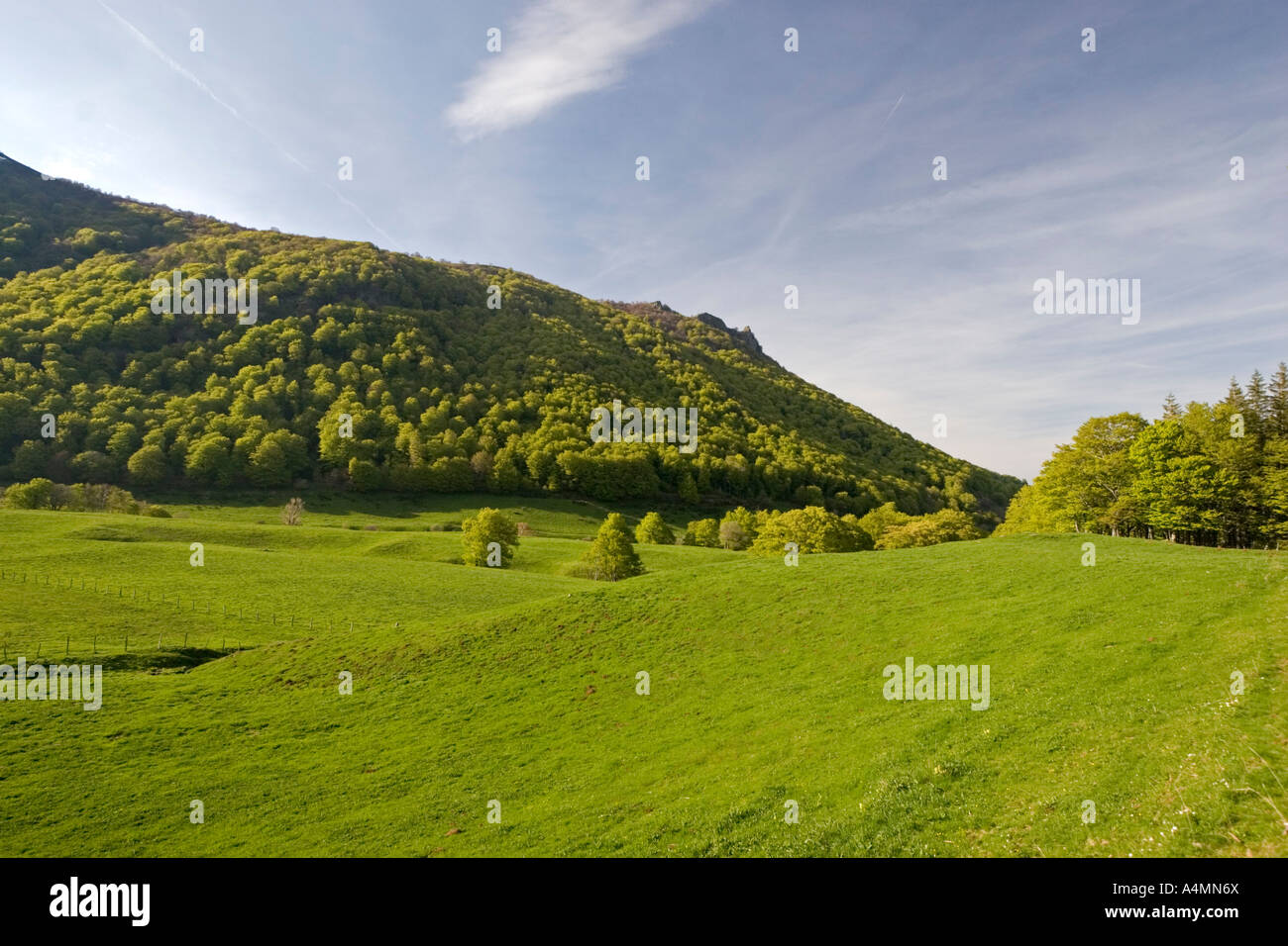 Une prairie et une forêt de hêtres dans la Vallée de Chaudefour (France ...