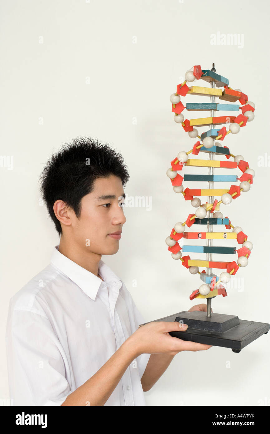 Dna profile Banque de photographies et d’images à haute résolution - Alamy