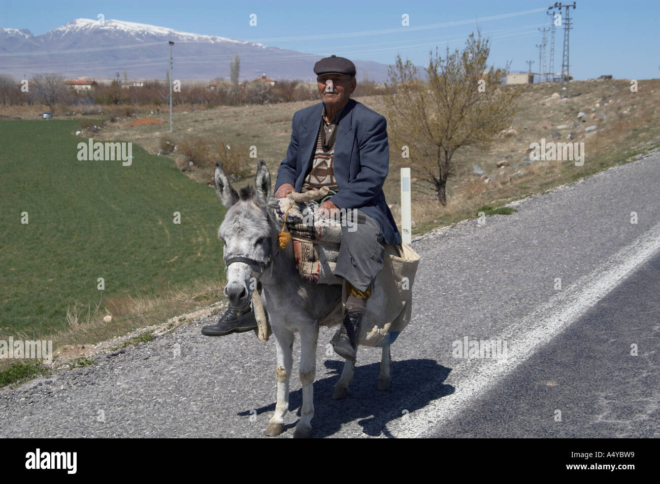 Turkish man riding donkey on Banque de photographies et d’images à ...