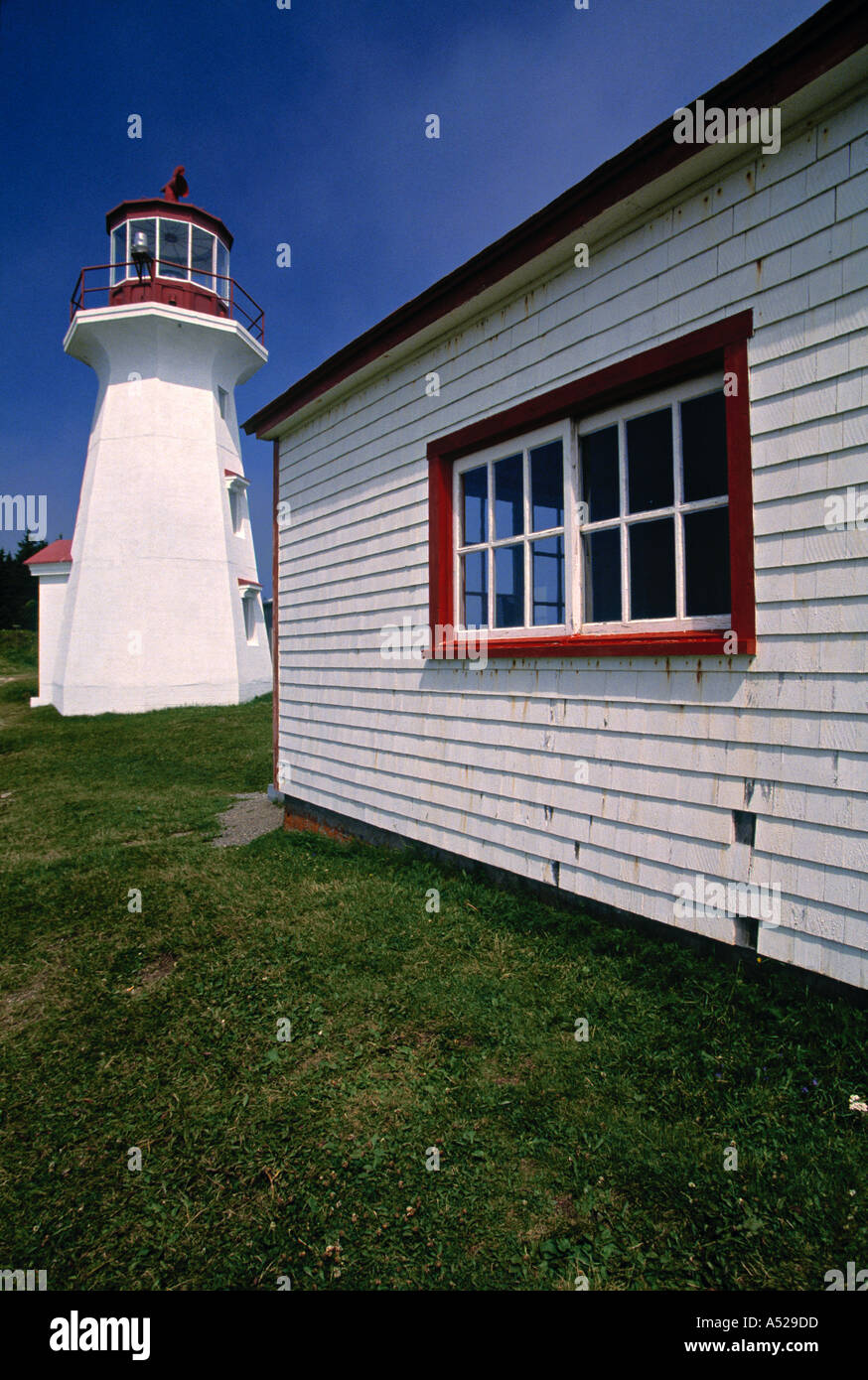Cap gaspe lighthouse Banque de photographies et d’images à haute ...