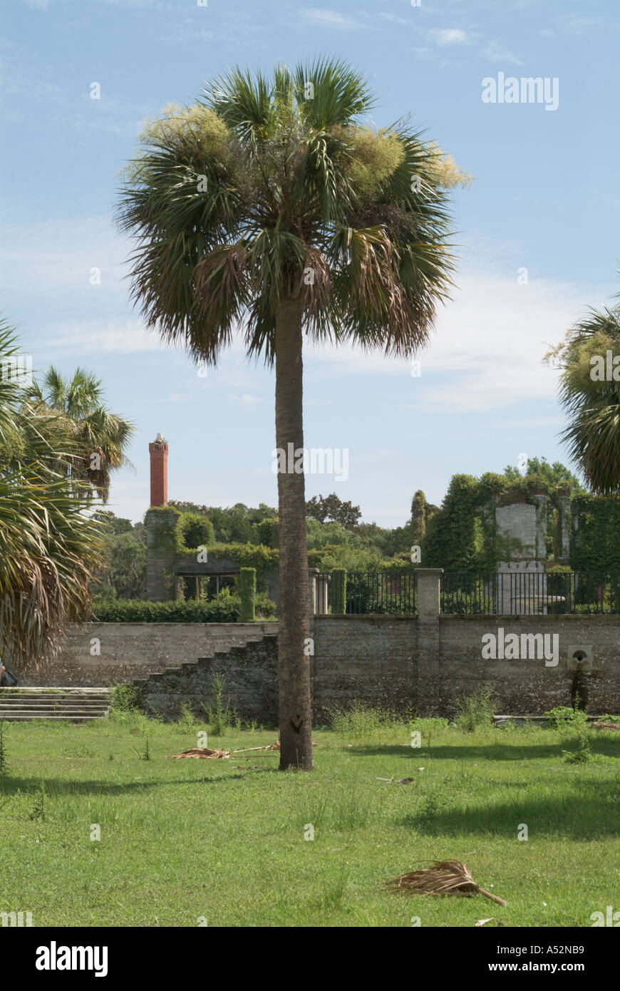 Carnegie mansion Banque de photographies et d’images à haute résolution ...