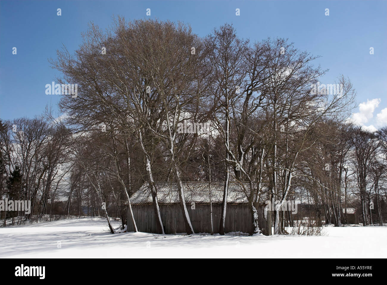 Masures dans la neige Banque de photographies et d’images à haute ...