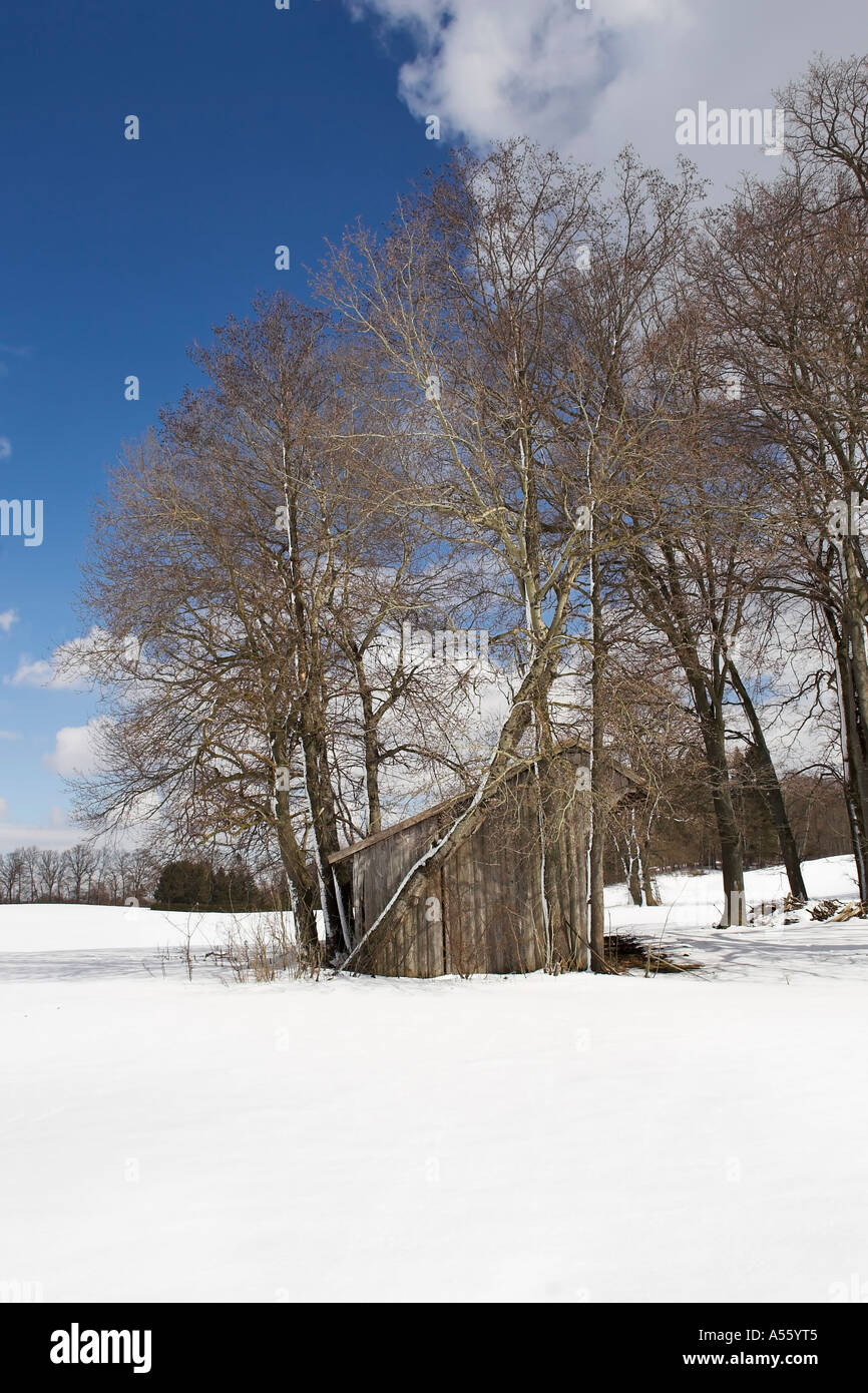 Masures dans la neige Banque de photographies et d’images à haute ...