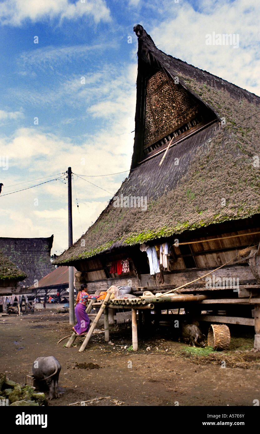 Tribus batak Banque de photographies et d’images à haute résolution - Alamy
