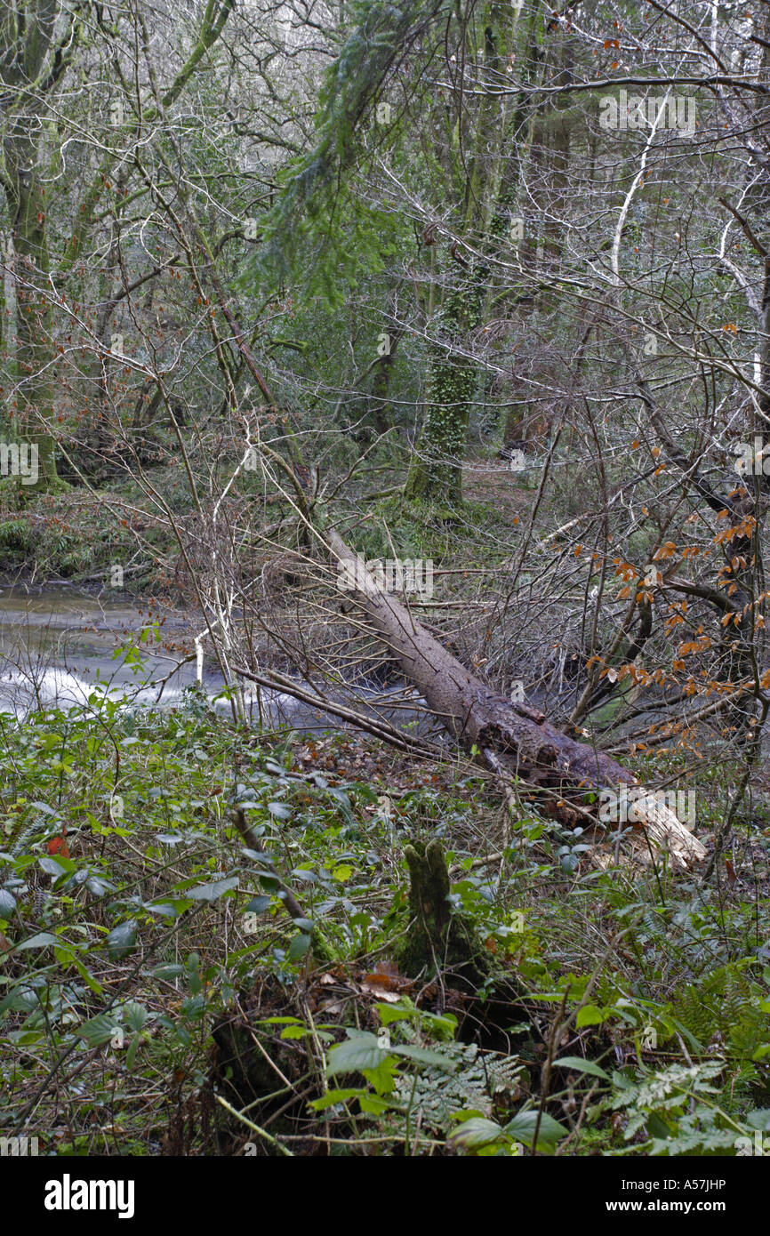 Dunmere Banque de photographies et d’images à haute résolution - Alamy