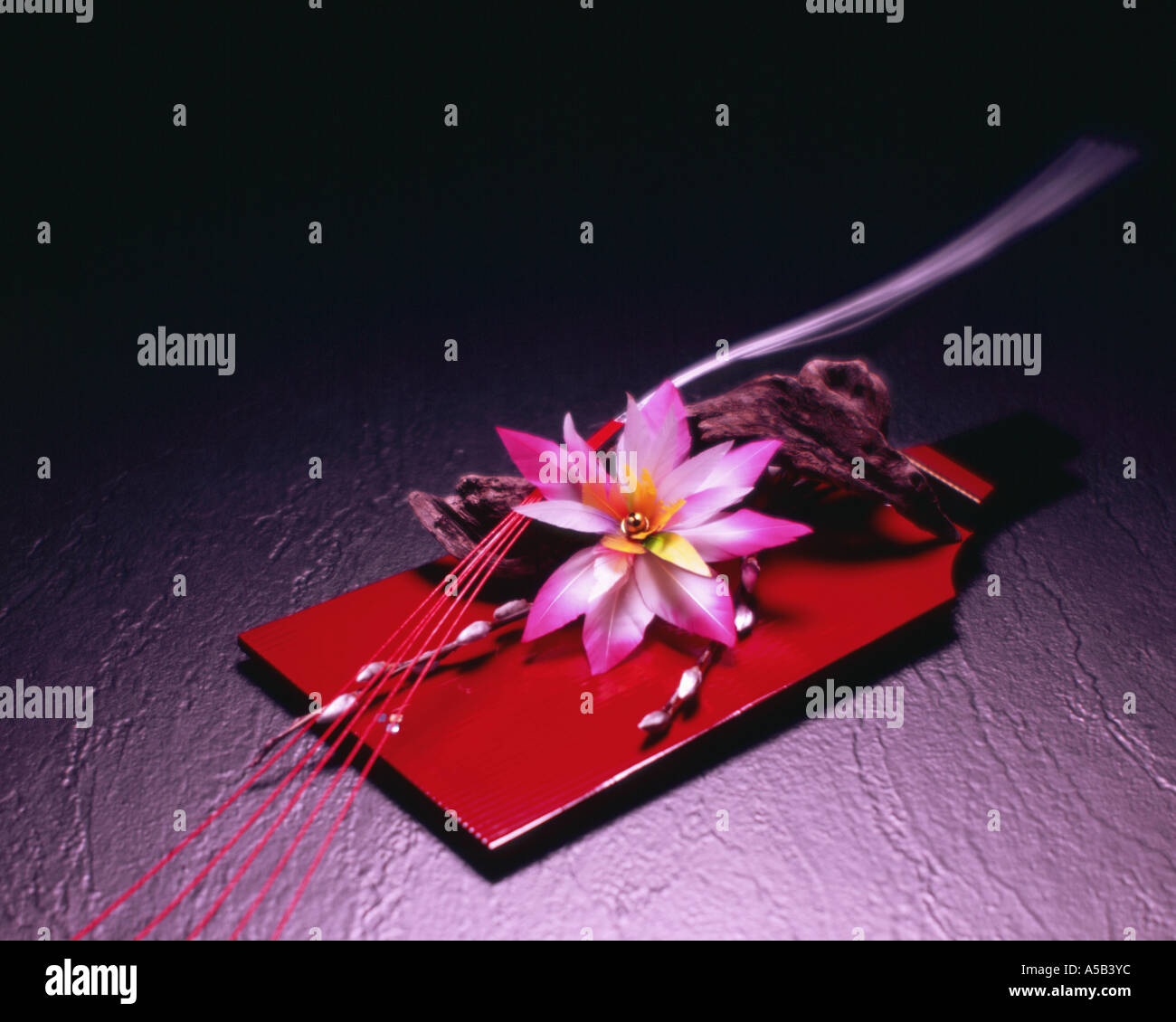 Battledore and shuttlecock Banque de photographies et d’images à haute ...