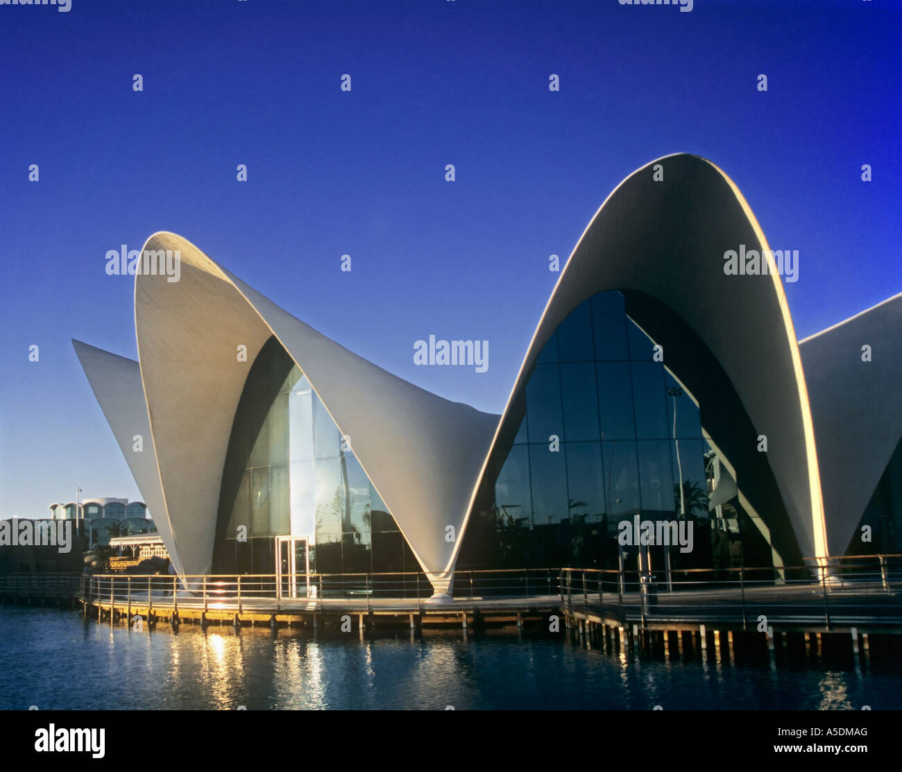 Parc marin de l'aquarium oceanografic Banque de photographies et d ...
