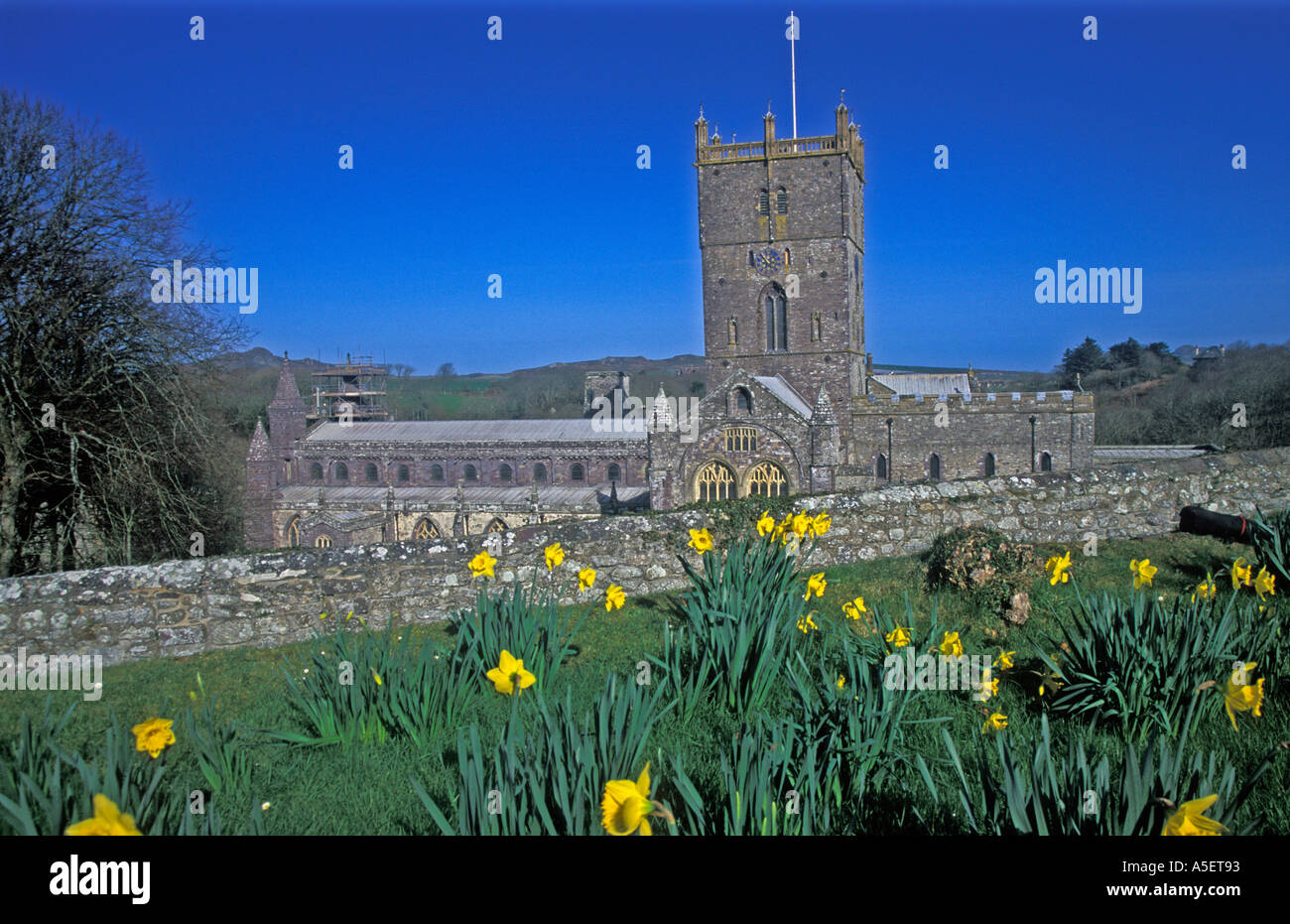 Saint david Banque de photographies et d’images à haute résolution - Alamy