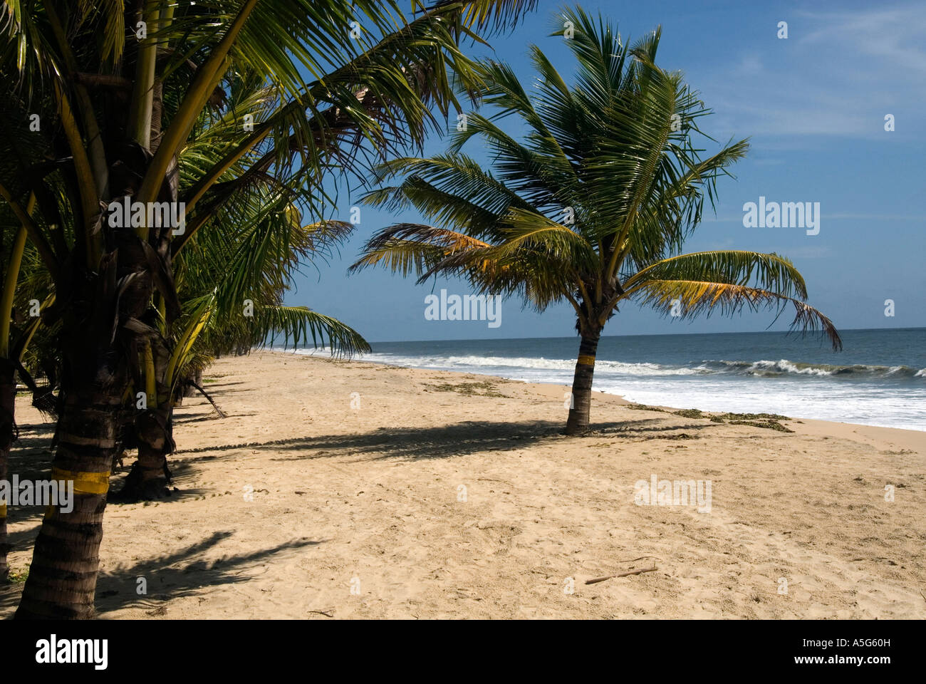 Marari beach Banque de photographies et d’images à haute résolution - Alamy