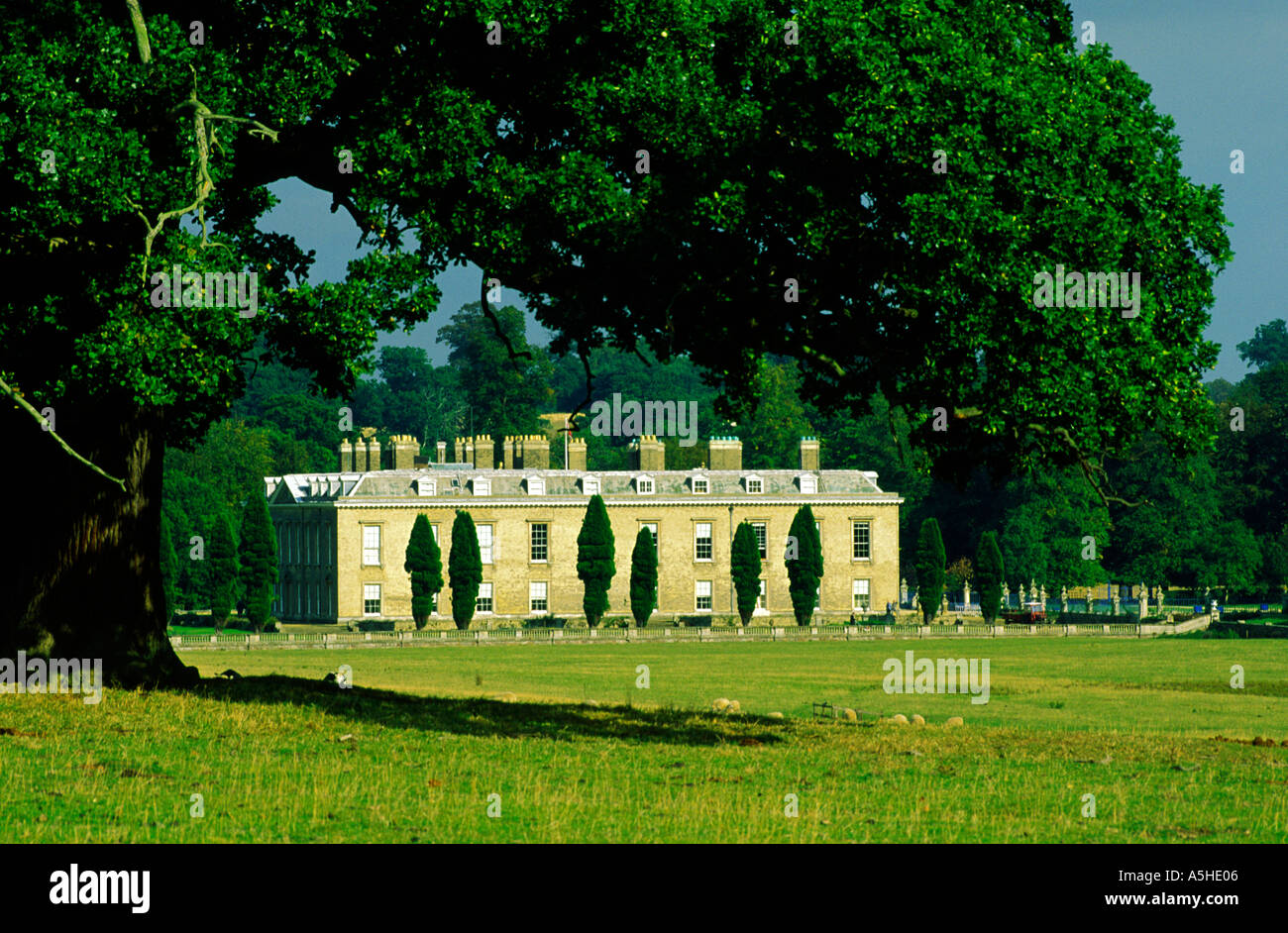 Althorp estate diana Banque de photographies et d’images à haute ...