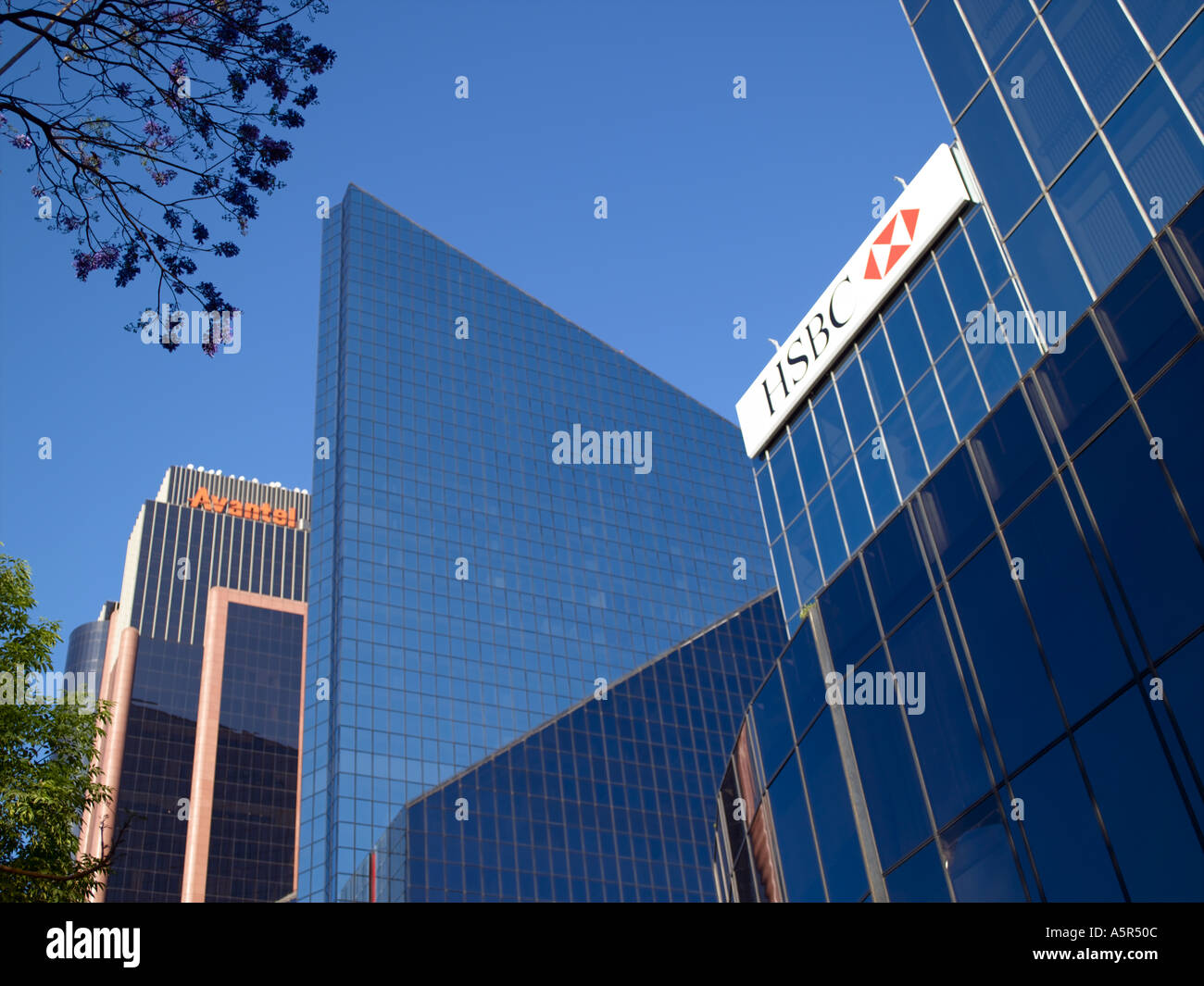 Hsbc mexico Banque de photographies et d’images à haute résolution - Alamy