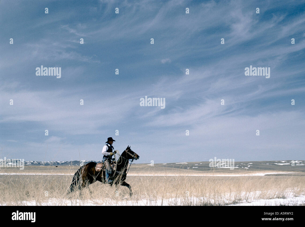 Cowboys riding horses in snow Banque de photographies et d’images à ...