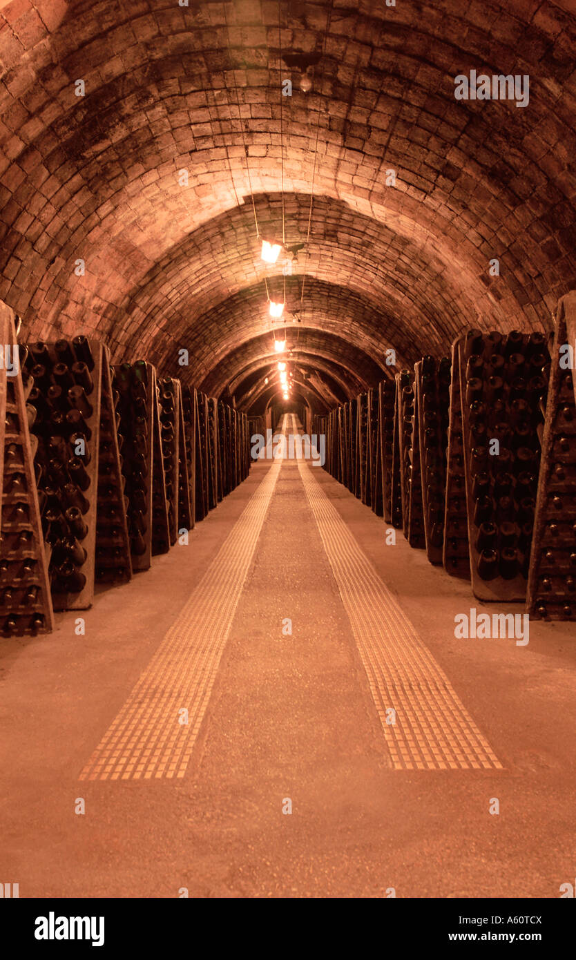 Les caves de codorniu catalogne espagne Banque de photographies et d ...