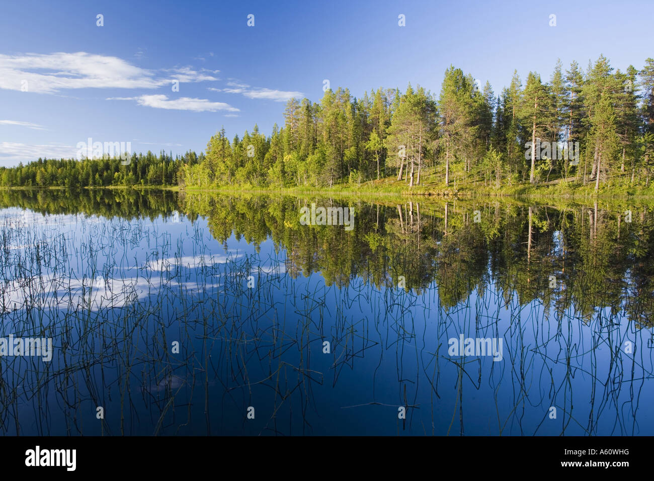 Paysage typique en laponie Banque de photographies et d’images à haute ...