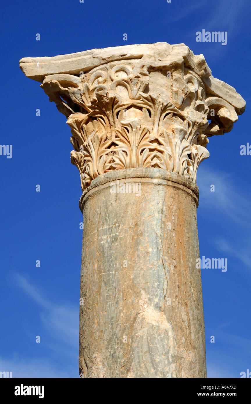 Pilier de colonne corinthienne Banque de photographies et d’images à ...