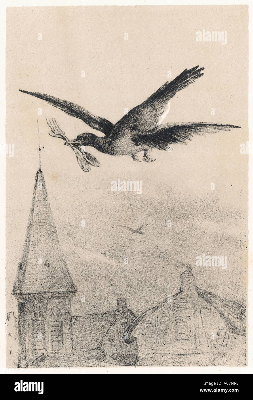 Thieving magpie Banque de photographies et d’images à haute résolution ...