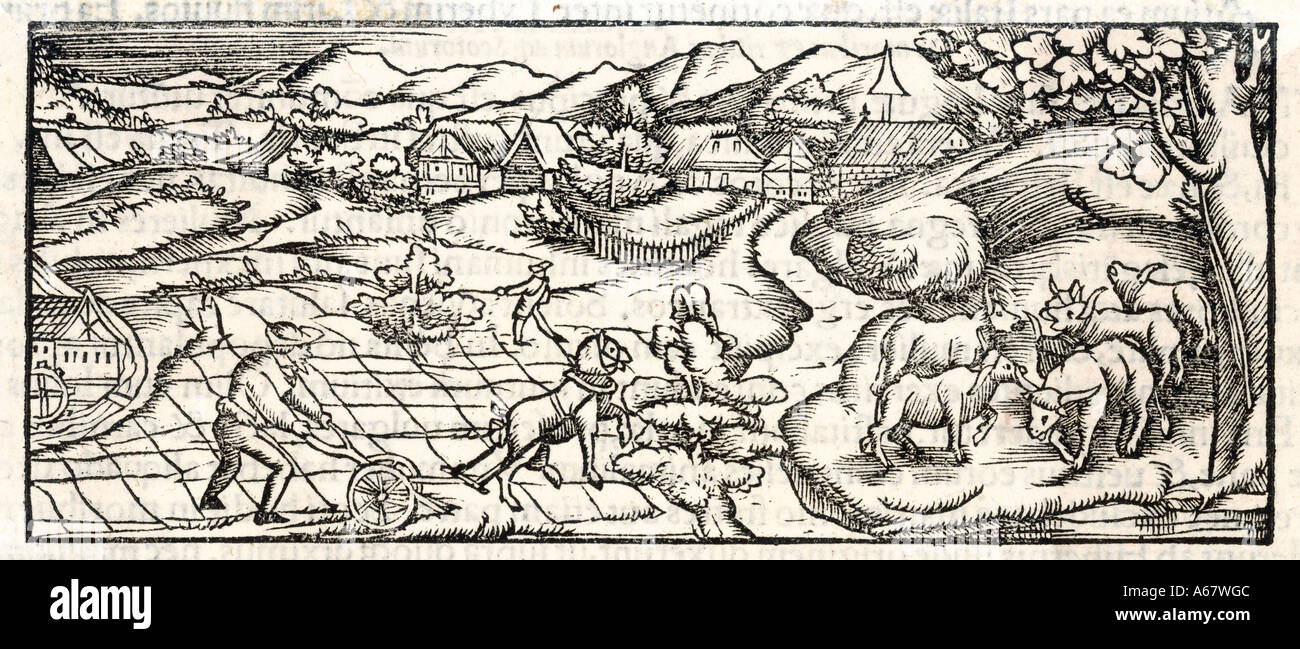 Medieval Farming Banque d'image et photos - Alamy