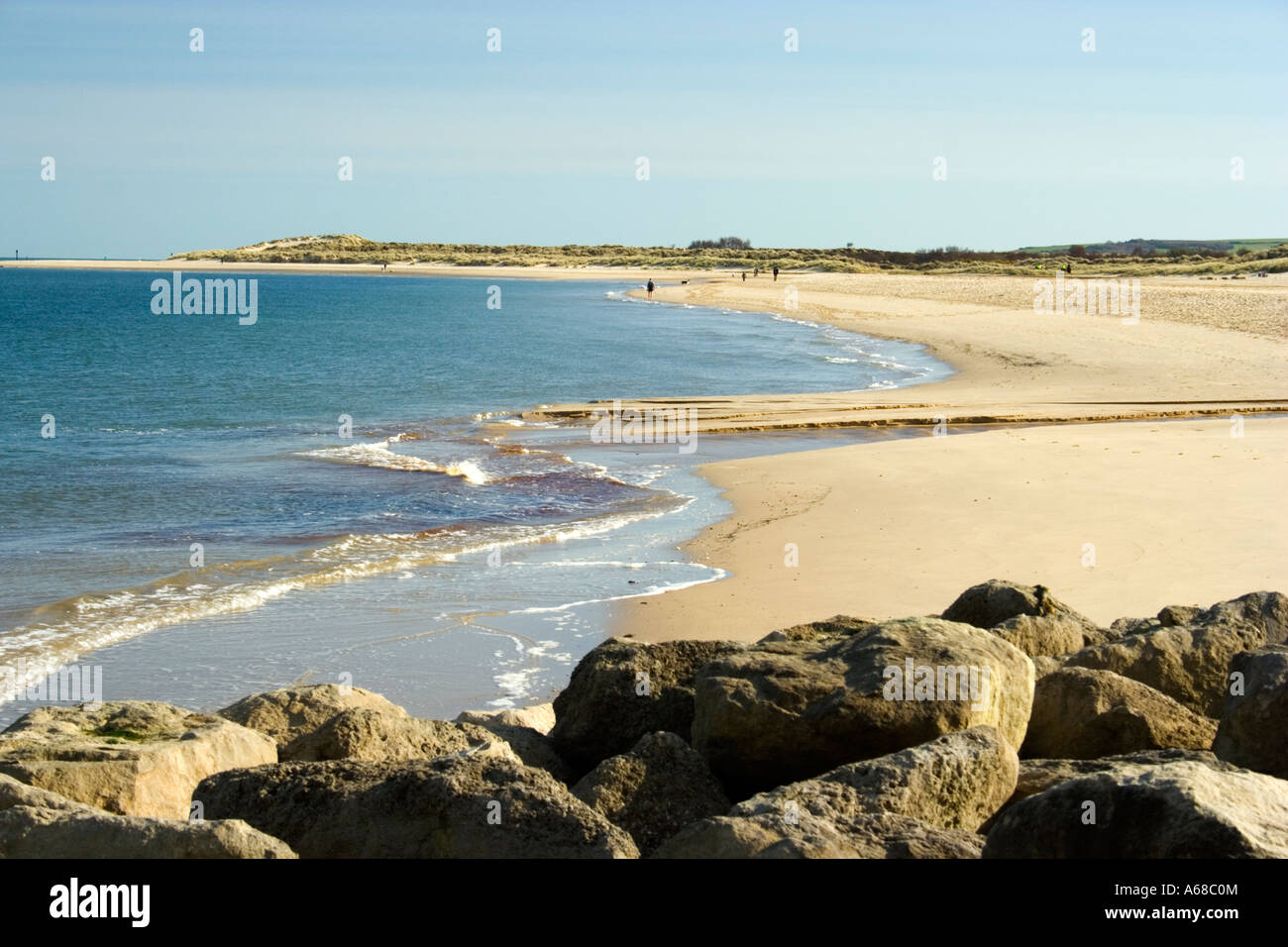 Studland Bay, Shell, à l'île de Purbeck, Dorset, UK Photo Stock - Alamy