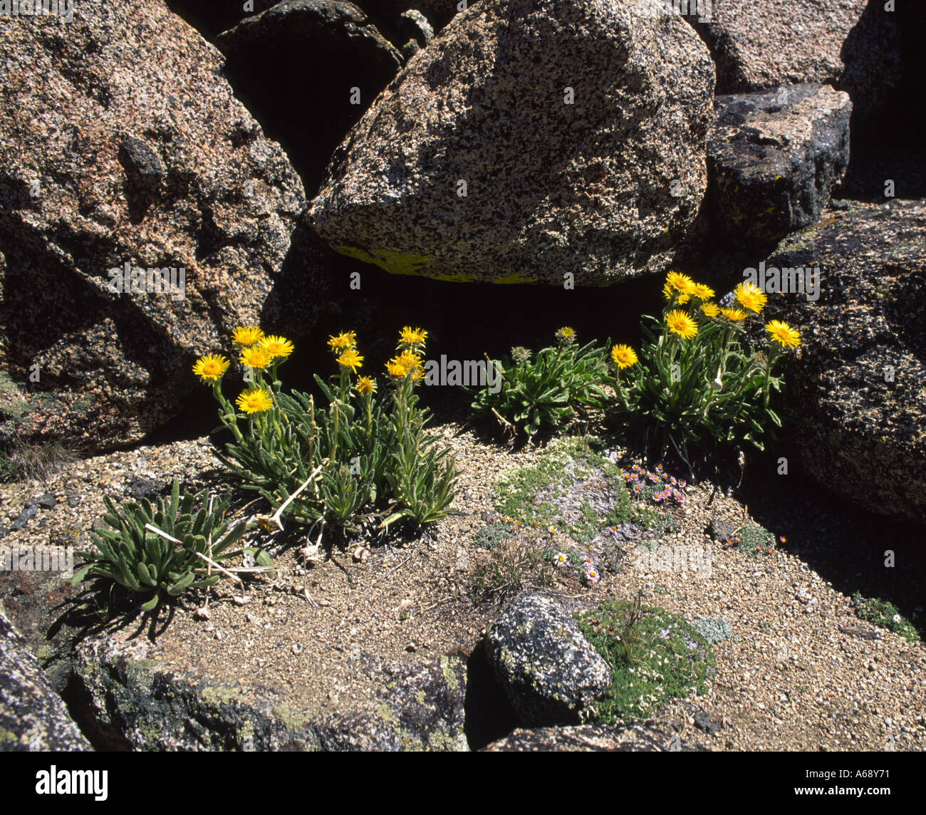 Lamarck col Banque de photographies et d’images à haute résolution - Alamy