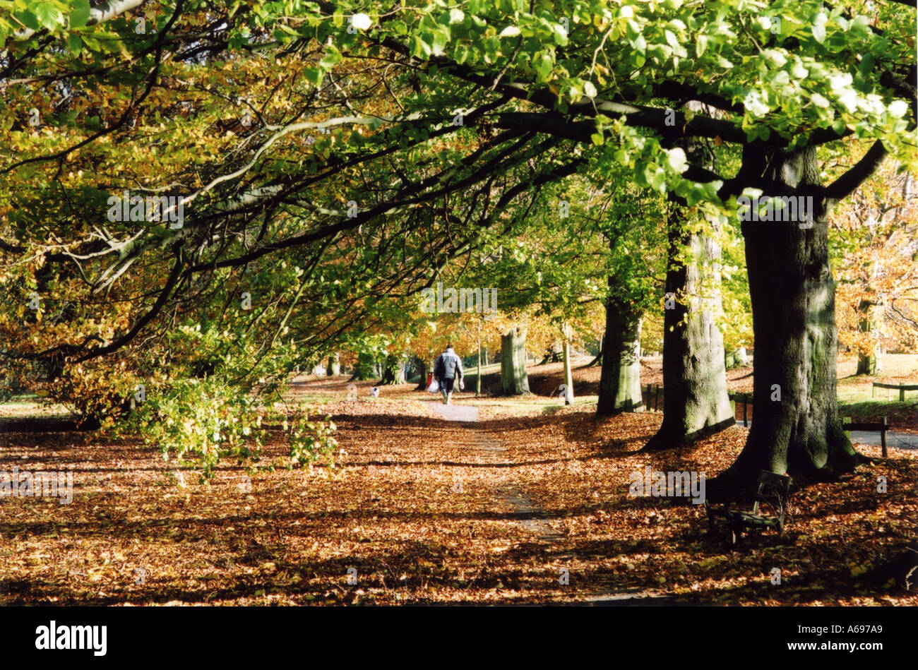 Mote park maidstone Banque de photographies et d’images à haute ...