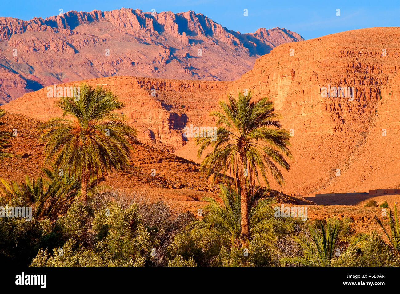 Oasis dans la vallée de Ziz Maroc Photo Stock - Alamy
