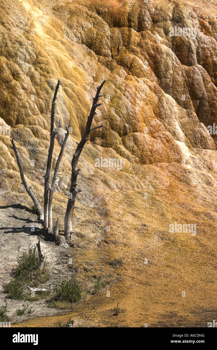 Spout force Banque de photographies et d’images à haute résolution - Alamy