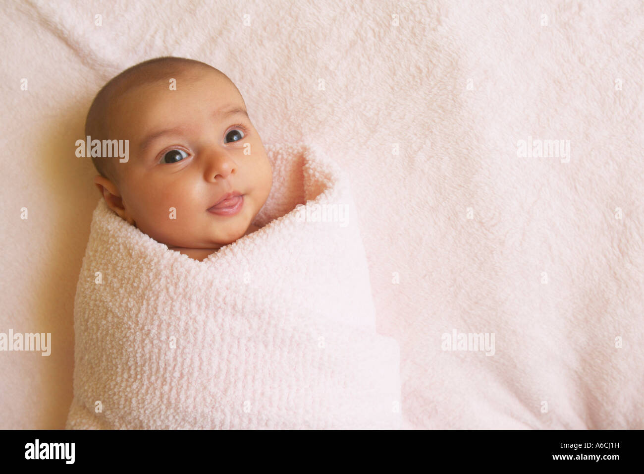 Portrait De Rommel Banque d'image et photos - Alamy