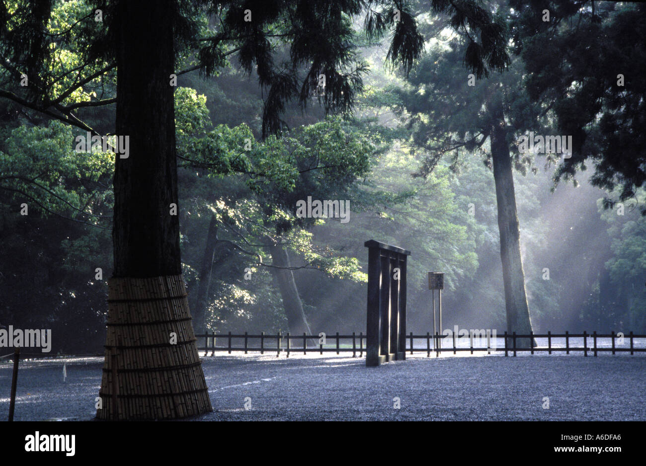 Sanctuaire d'ise jingu Banque de photographies et d’images à haute ...