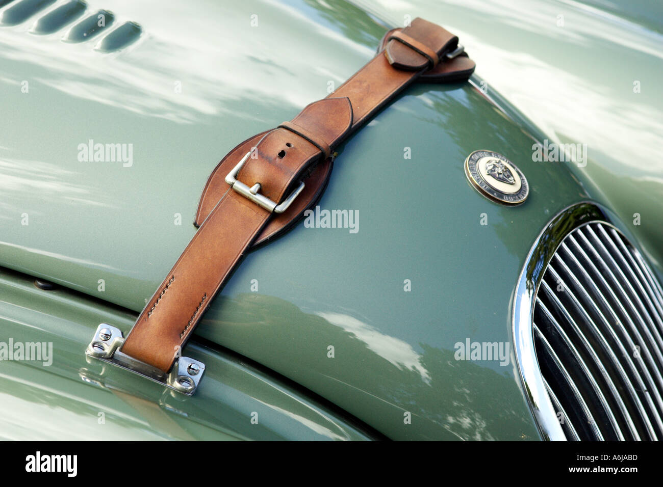 Jaguar XK Series Détail xk120 attache capot Capot Photo Stock - Alamy