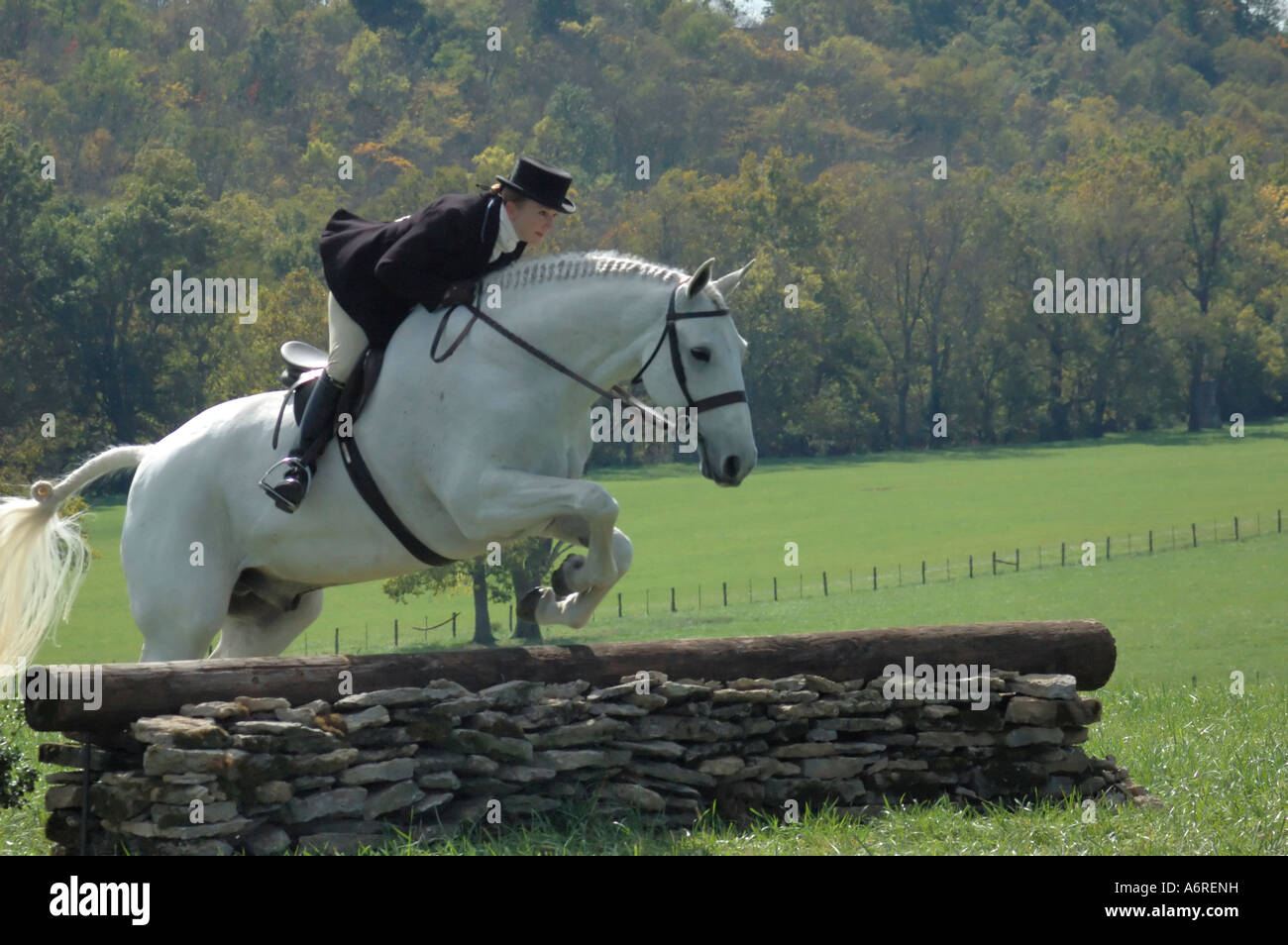 Cavalier de chasseur Banque de photographies et d’images à haute ...