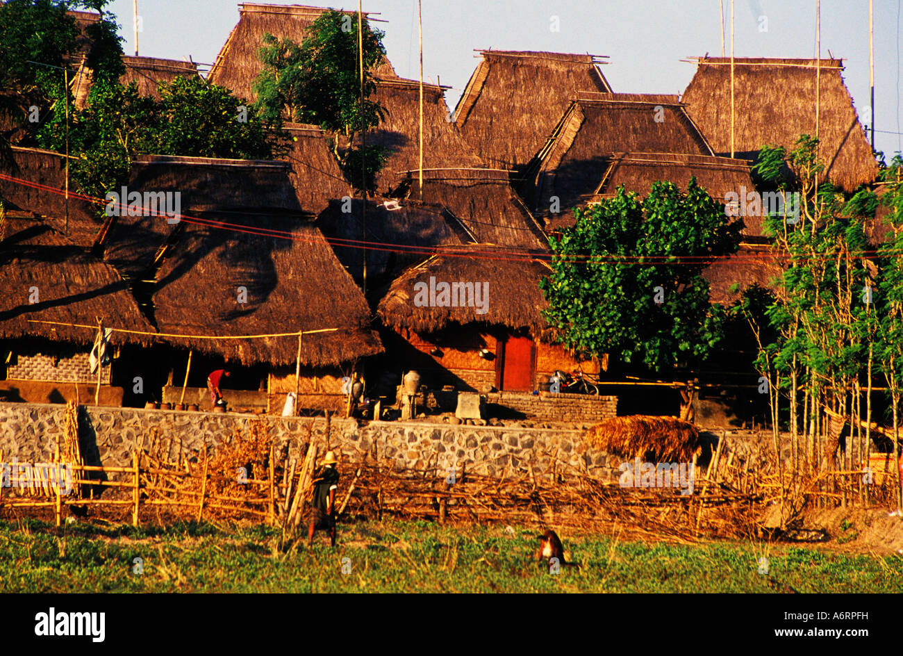 Sasak village Banque de photographies et d’images à haute résolution ...