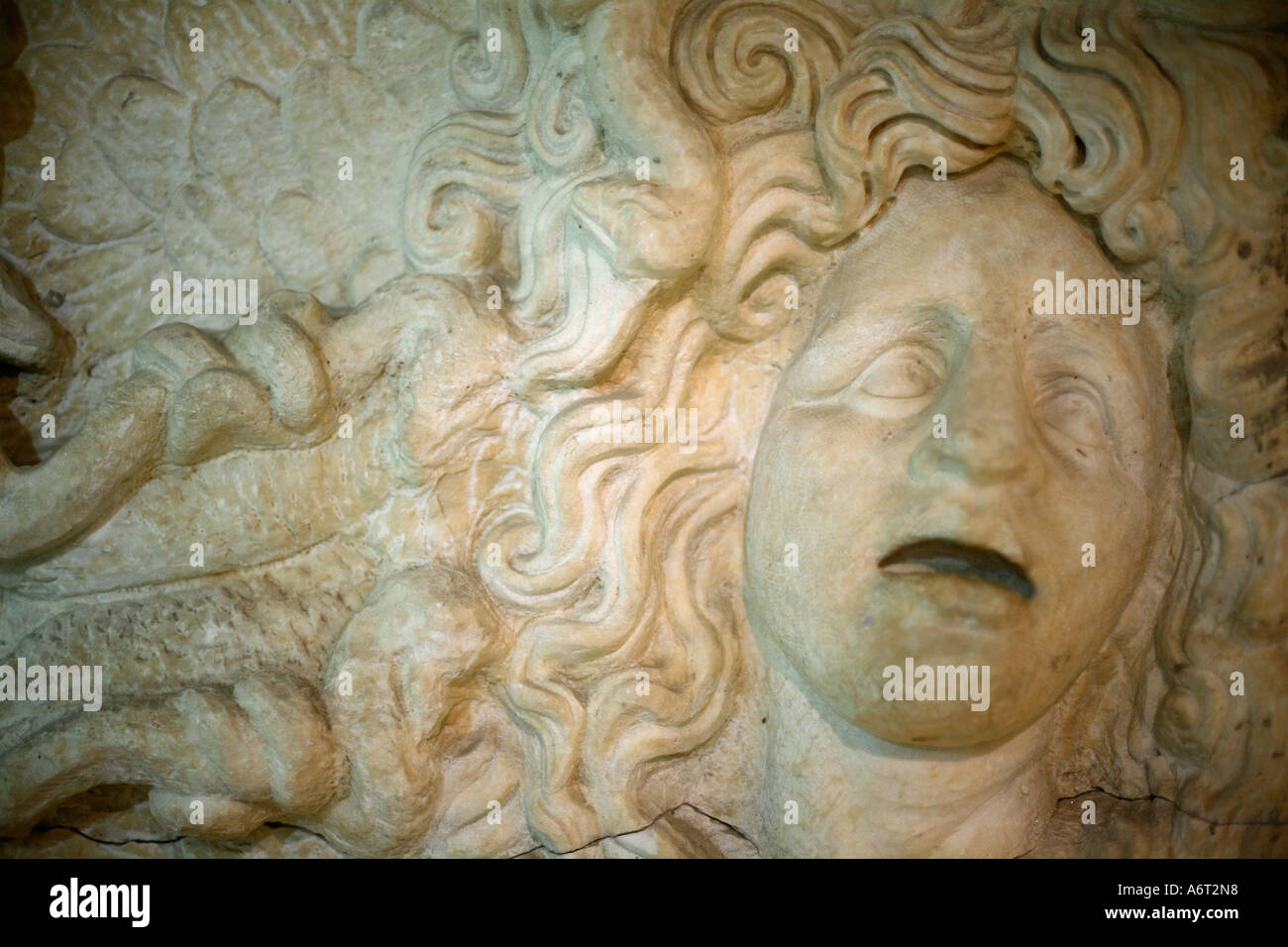 Une gorgone Banque de photographies et d’images à haute résolution - Alamy