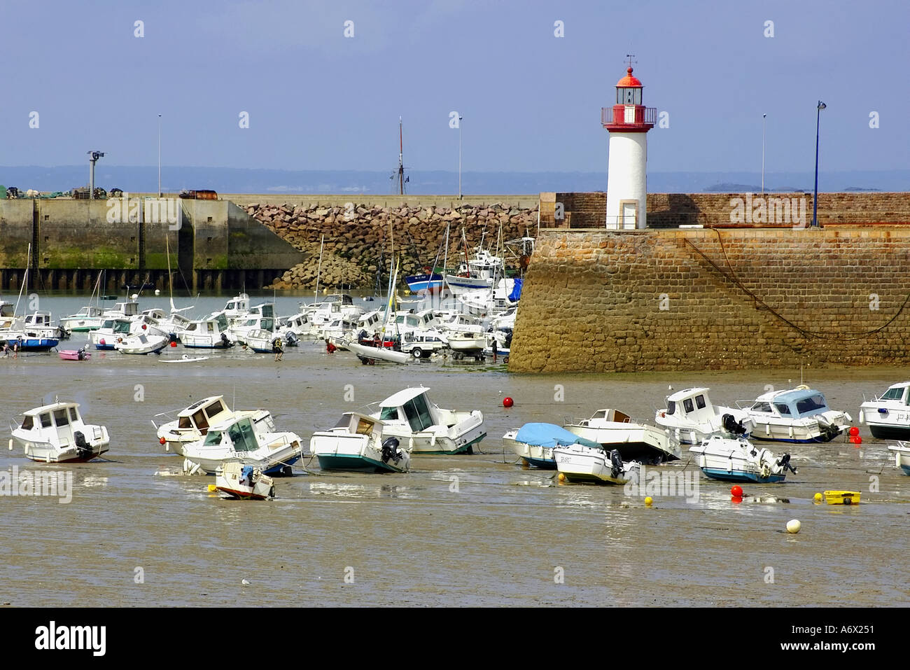 France bretagne côtes d'armor port de pêche du pétoncle et station ...
