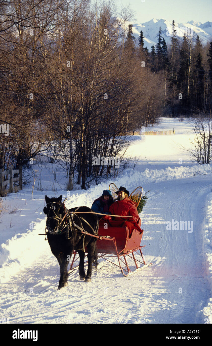 Traîneau à chevaux Banque de photographies et d’images à haute ...